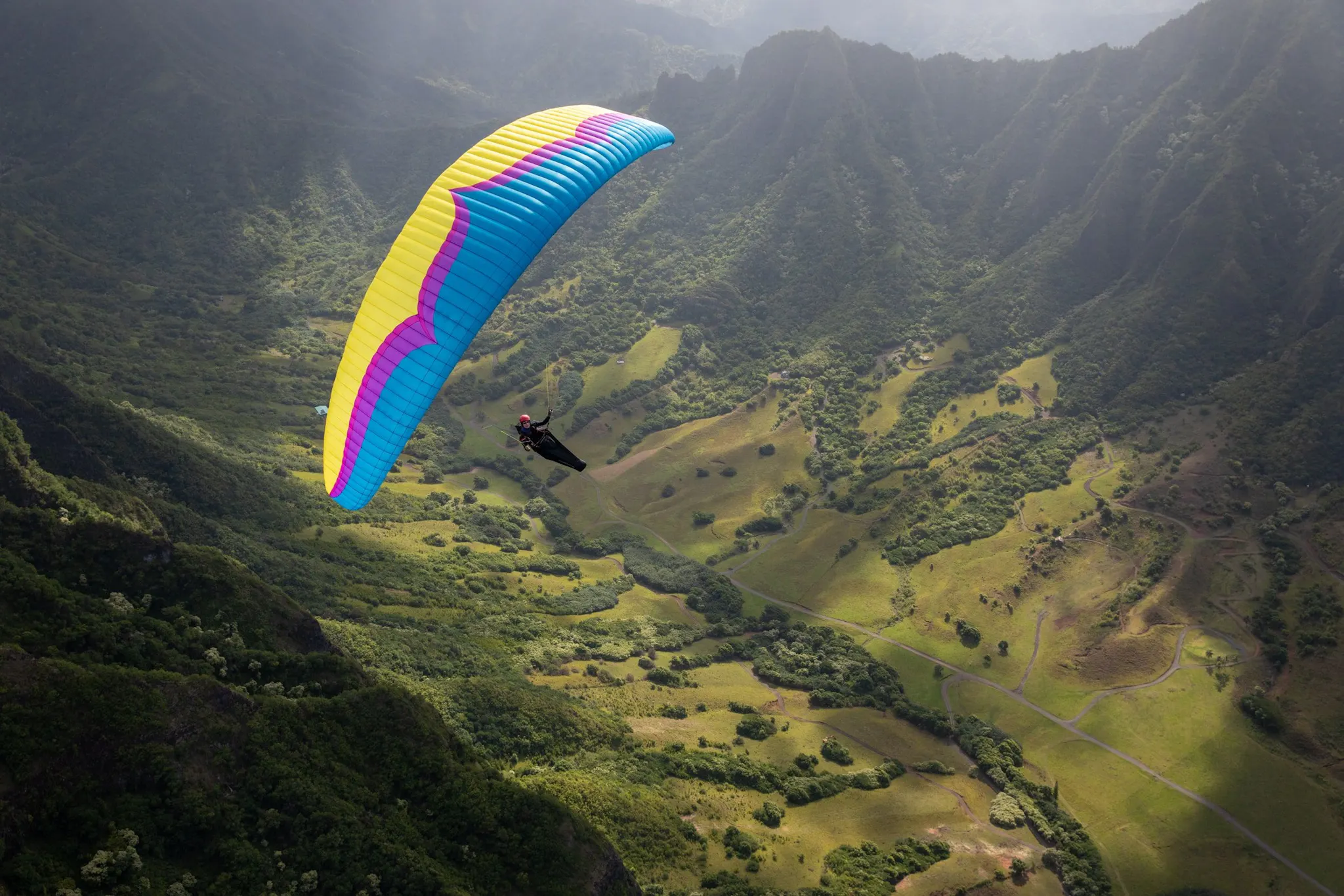 OZONE DELTA 4 Paraglider | Sale-Marineshop.com