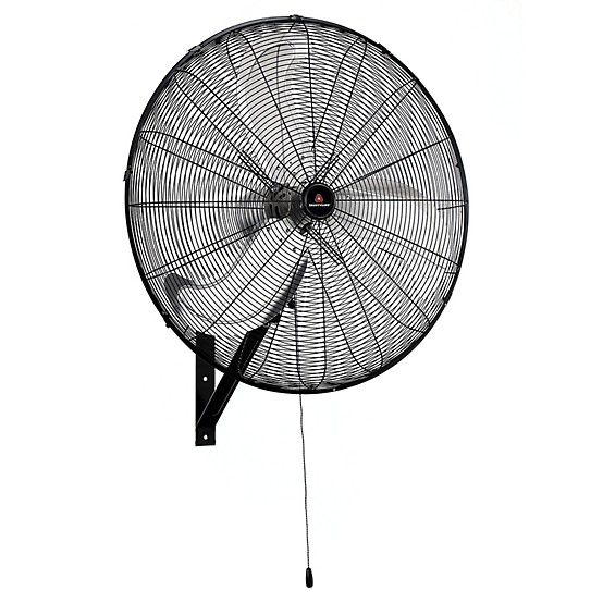 CountyLine 30 in. 3-Speed Indoor Wall-Mounted Oscillating Fan | Sale ...